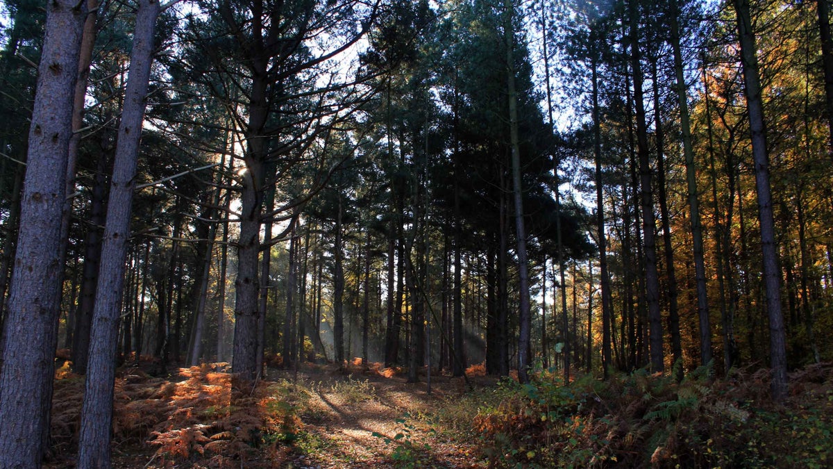 Mariners Hill from Chartwell walk | Kent | National Trust