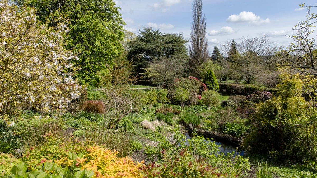 Emmetts Garden | Kent | National Trust