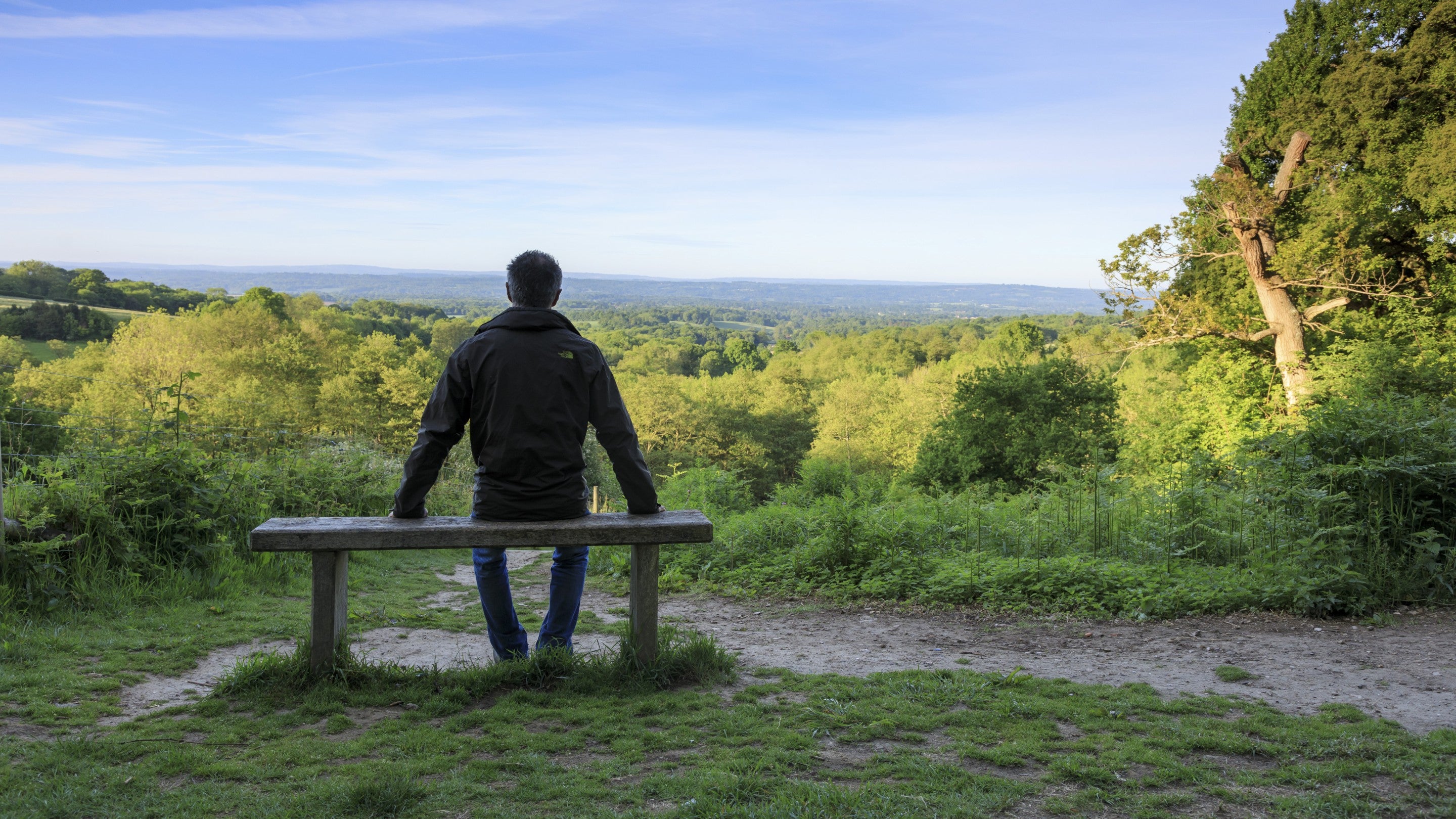 Countryside and woodland | Kent | National Trust