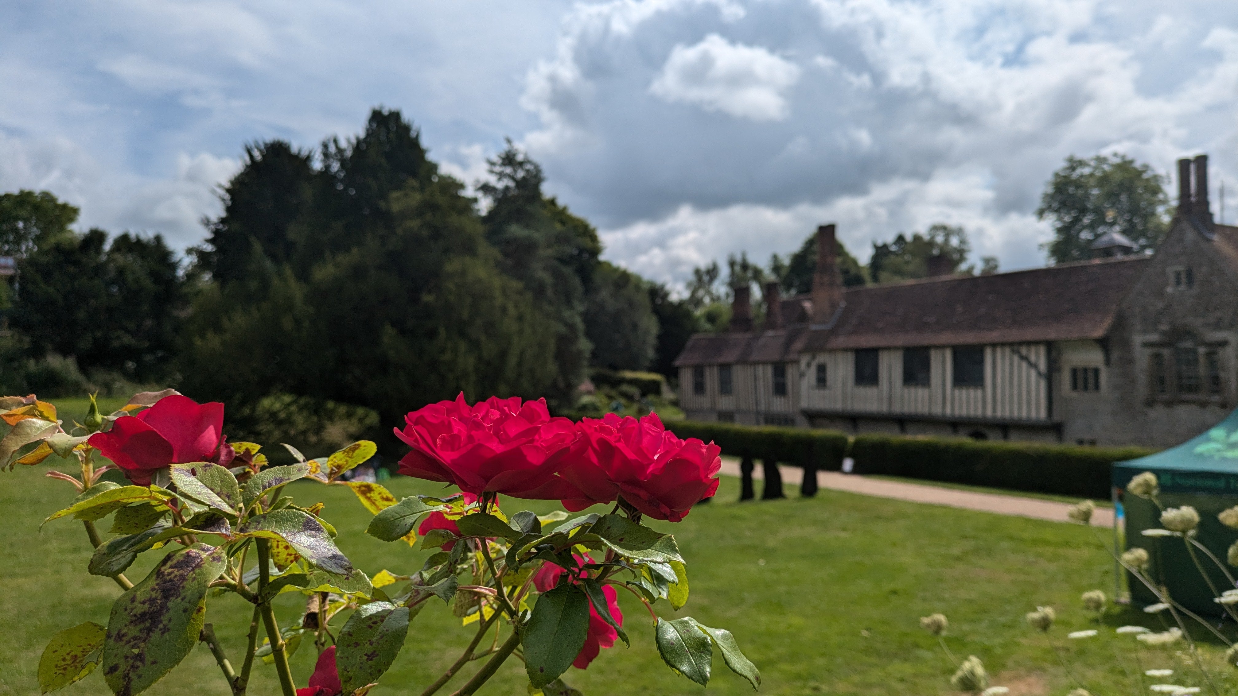 The history of Ightham Mote | Kent | National Trust