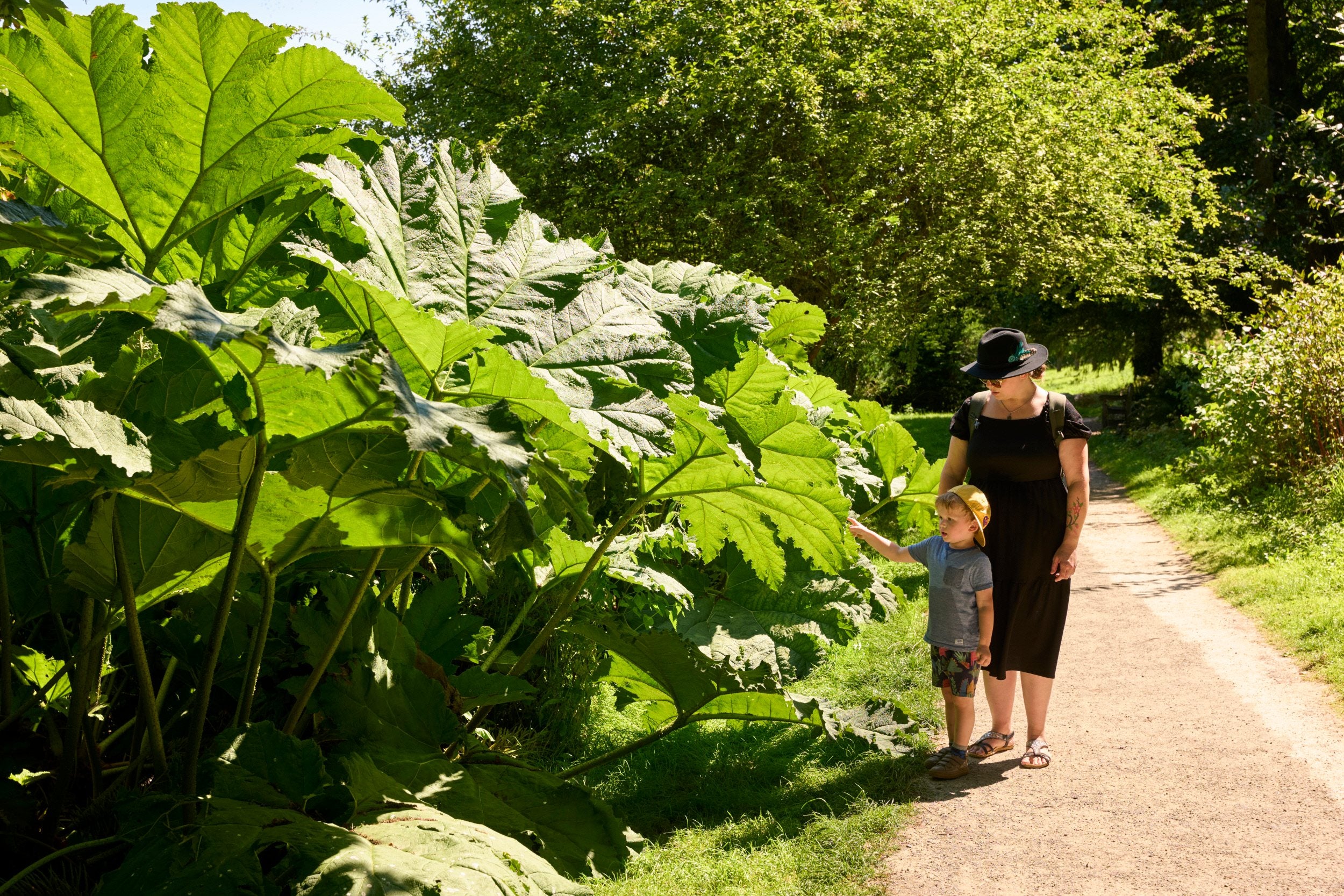 Days out with kids | Ightham Mote | National Trust