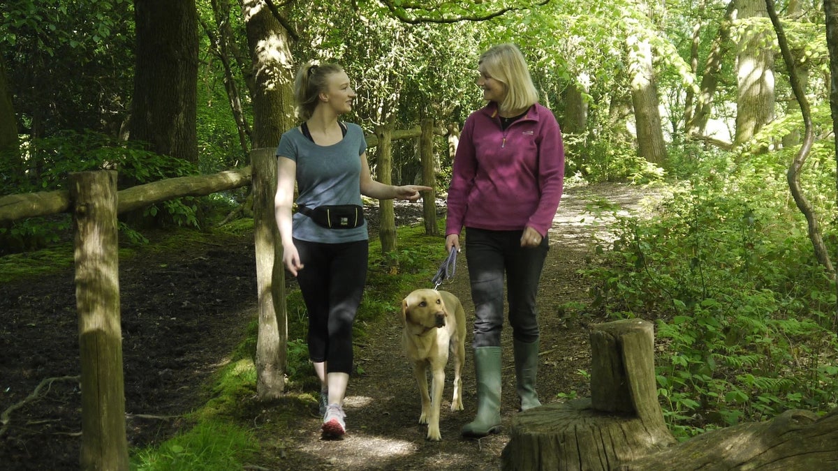 Things to see & do at One Tree Hill | Kent | National Trust