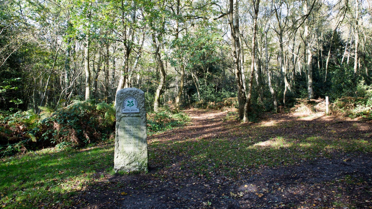 Petts Wood and Hawkwood | Kent | National Trust
