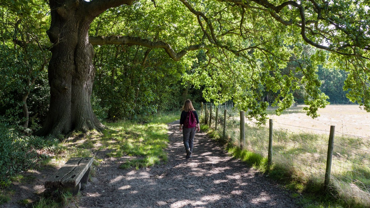 History of Petts Wood and Hawkwood | Kent | National Trust