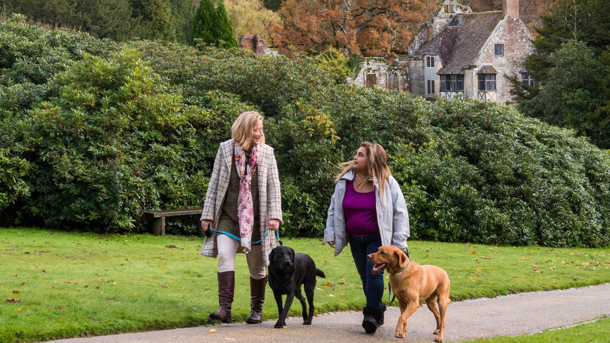 Dog-friendly places in Kent | National Trust