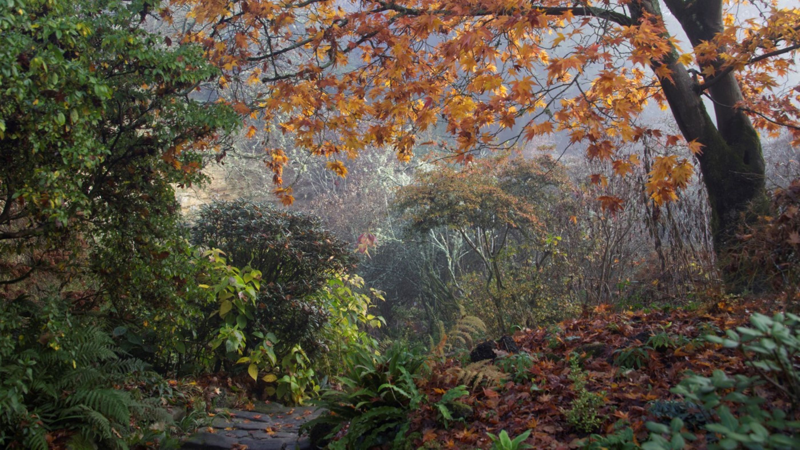 Garden and estate at Scotney Castle | Kent | National Trust