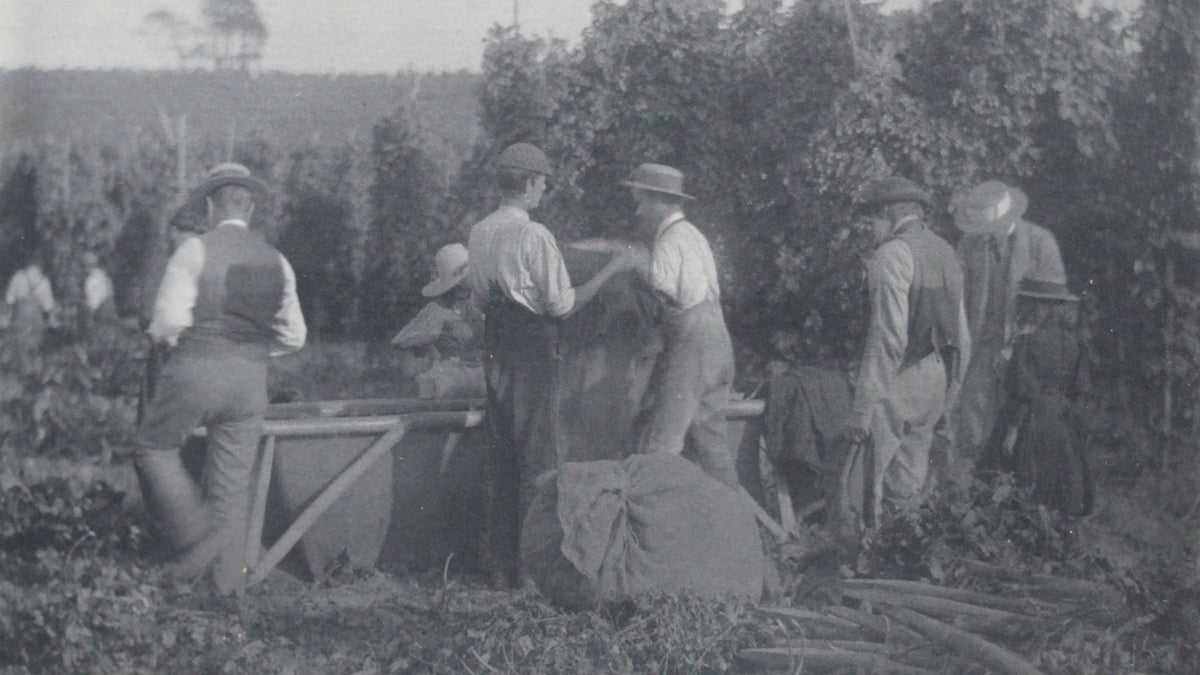 Memories of hop picking| Kent | National Trust