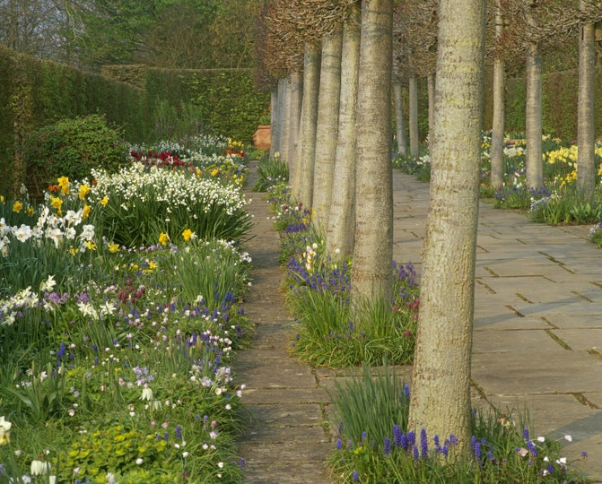 The garden at Sissinghurst | Kent | National Trust