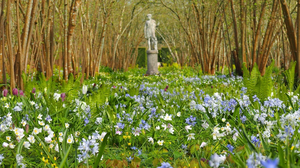 The garden at Sissinghurst | Kent | National Trust