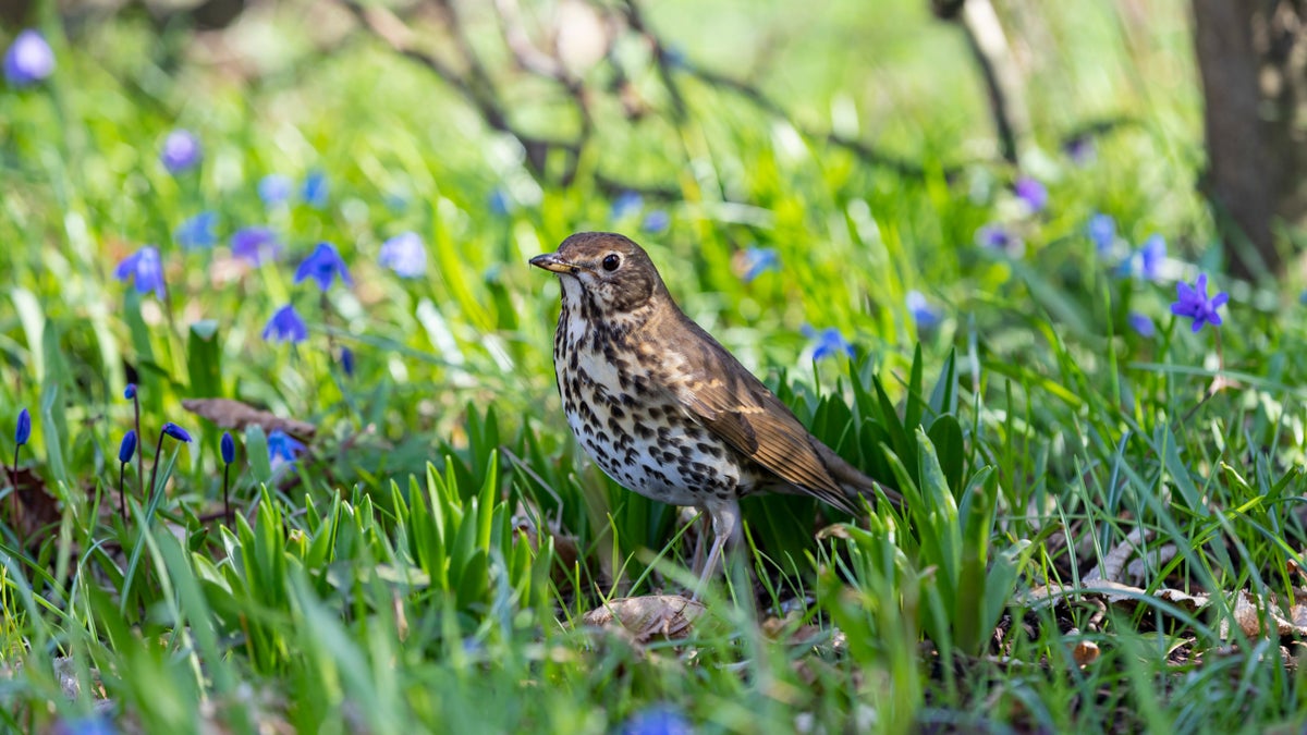 Discover the UK's natural environment | National Trust