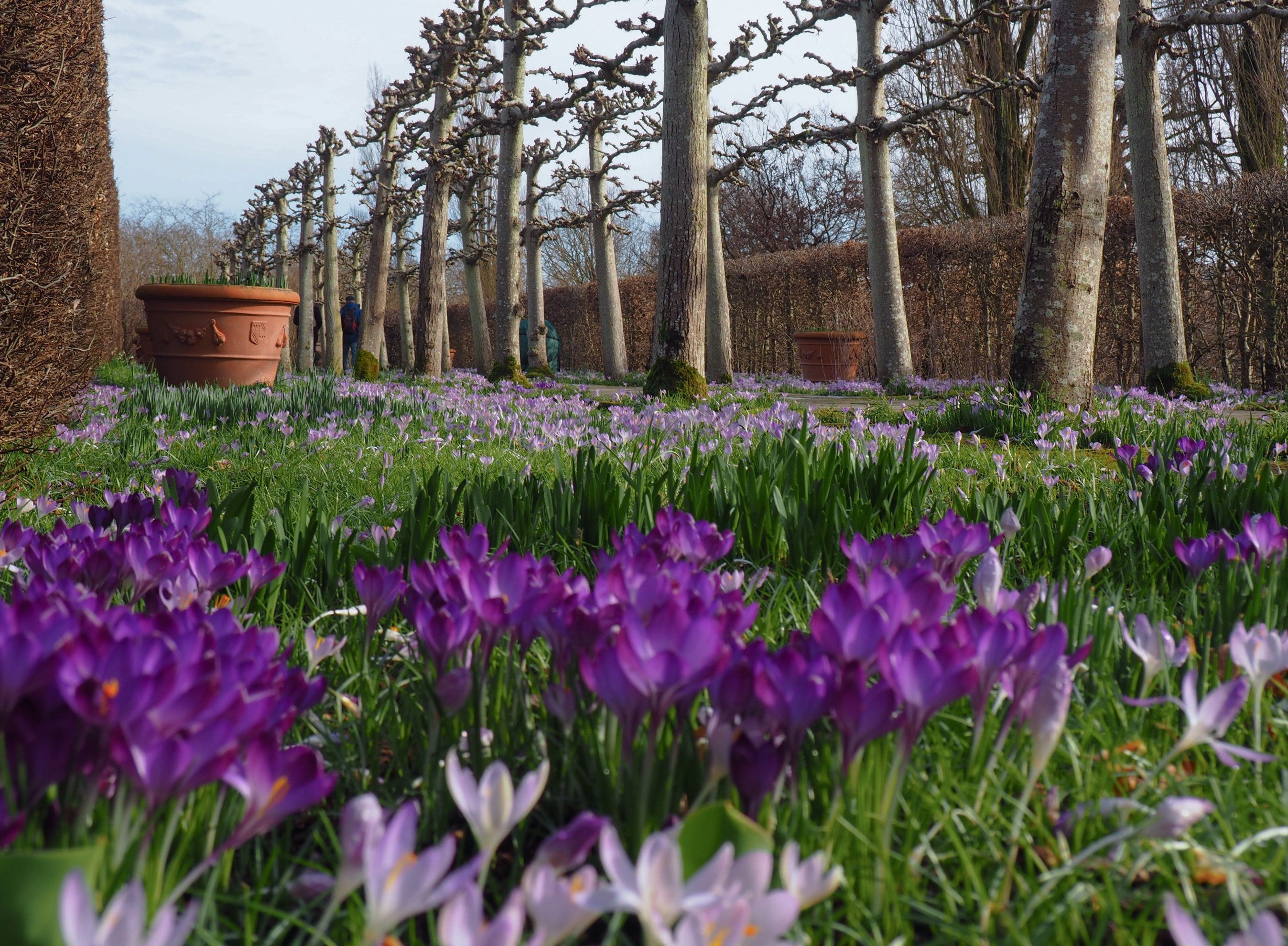 The garden at Sissinghurst | Kent | National Trust