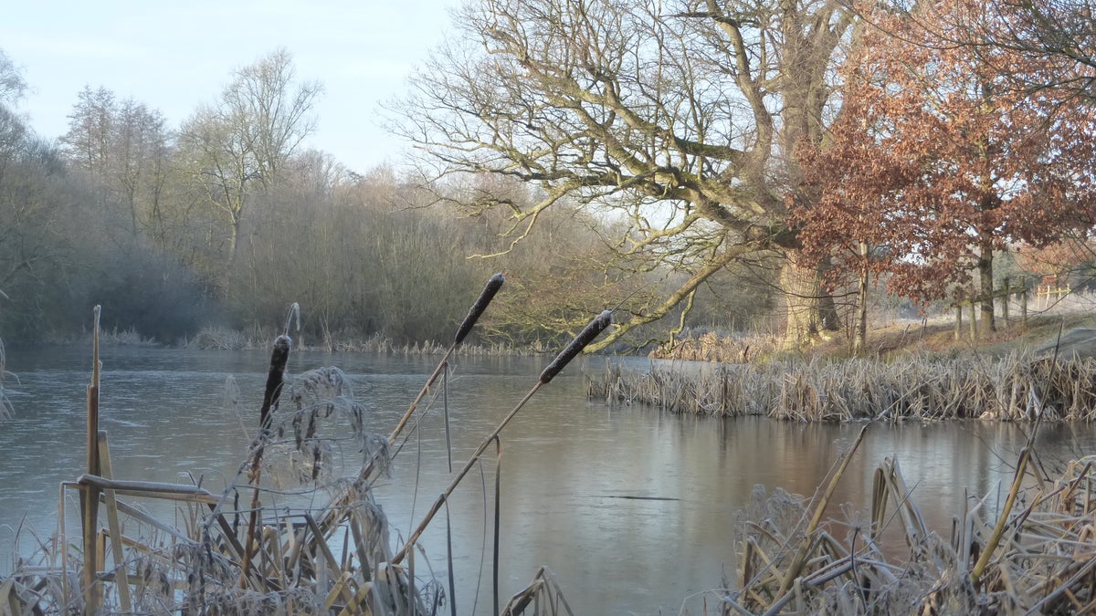 Sissinghurst Castle Garden Estate | Kent | National Trust