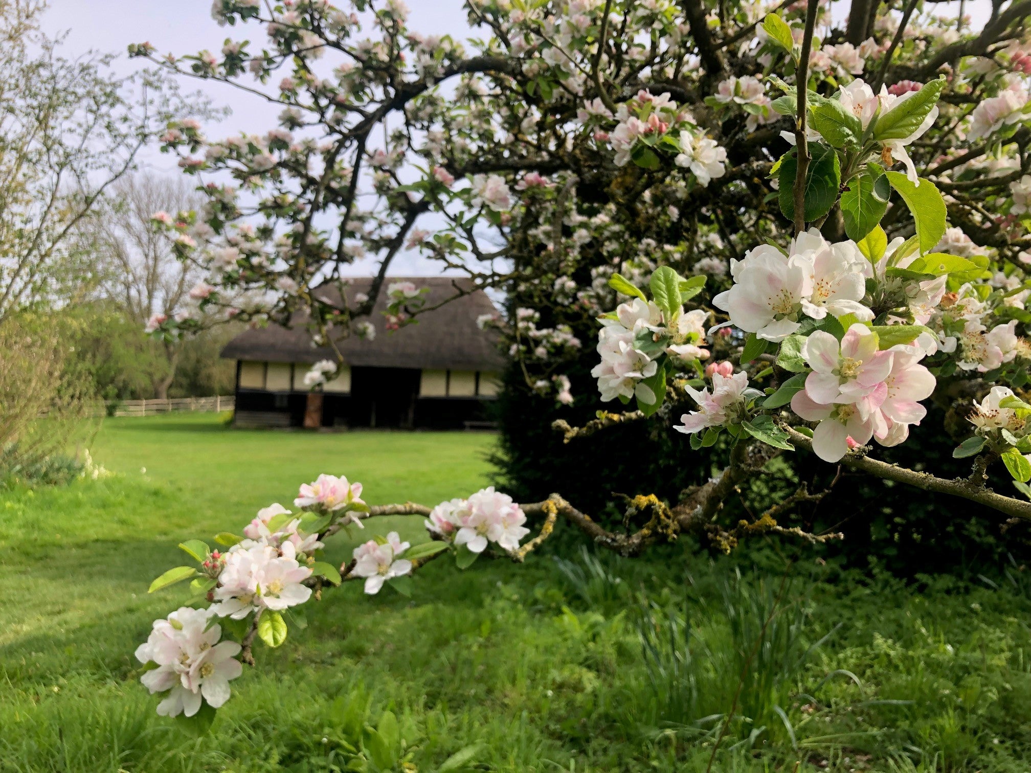 The Museum at Smallhythe Place | Kent | National Trust