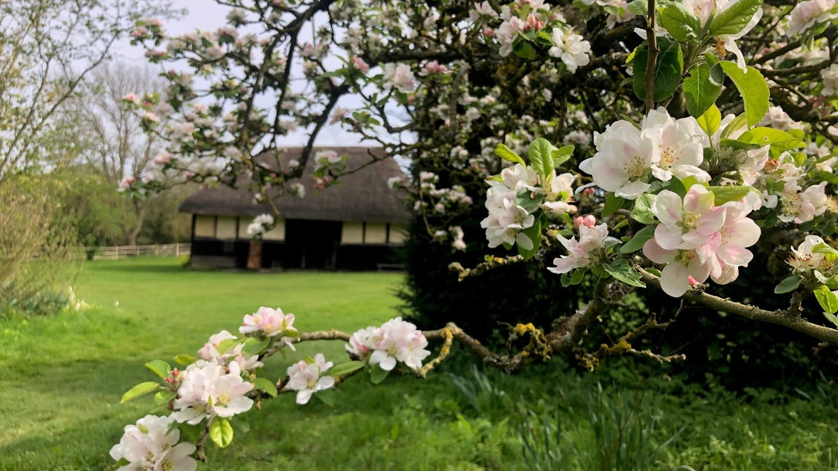 Visiting Smallhythe Place's garden | Kent | National Trust