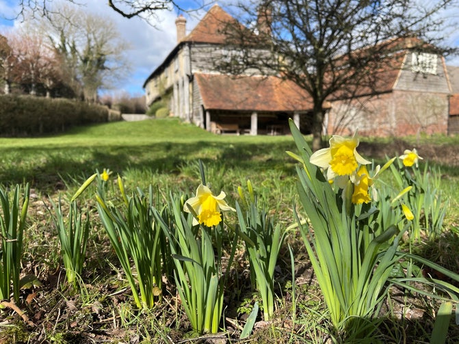 Visiting Smallhythe Place's garden | Kent | National Trust