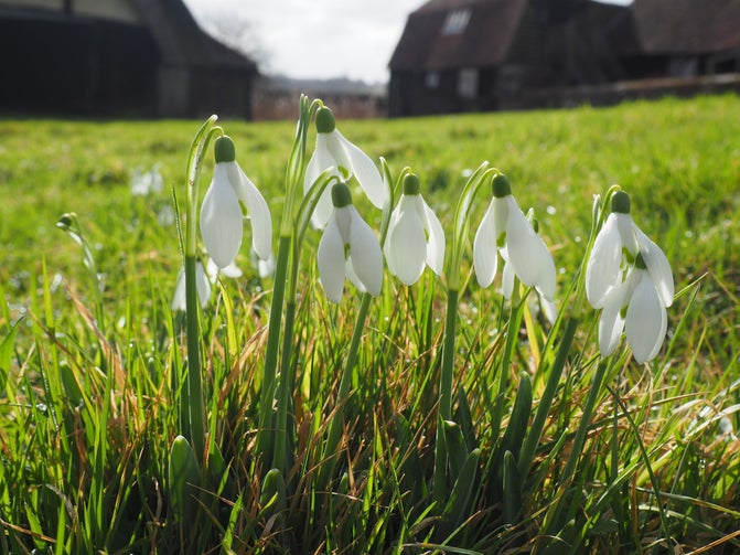 Visiting Smallhythe Place's garden | Kent | National Trust