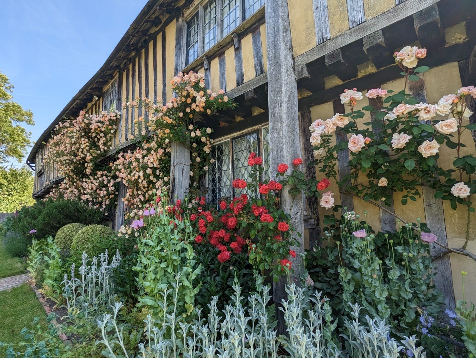 Smallhythe Place | Kent | National Trust