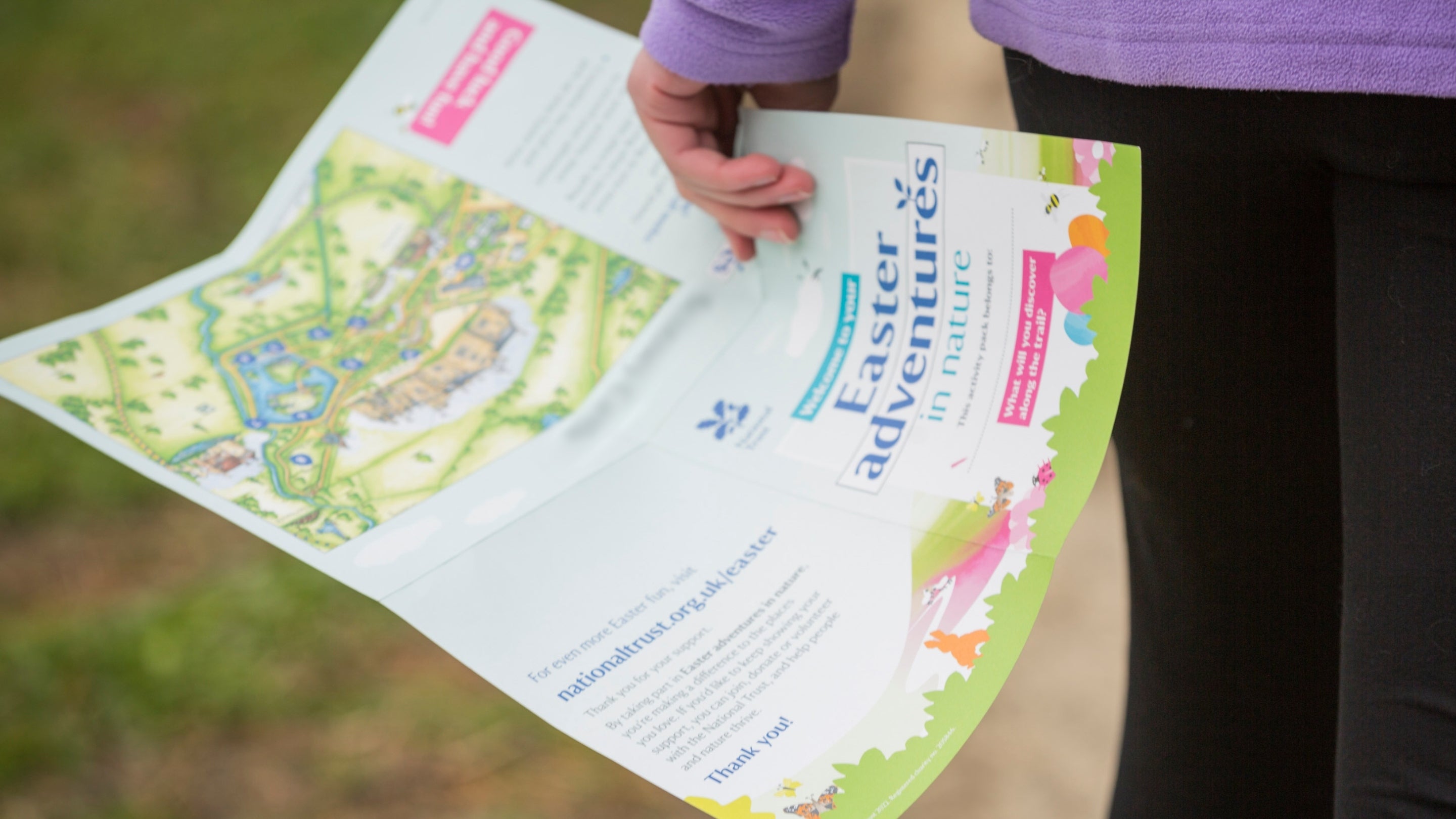 Mottistone Gardens | Isle of Wight | National Trust