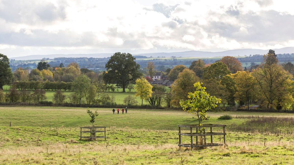 Acorn Bank to Temple Sowerby walk | Cumbria | National Trust
