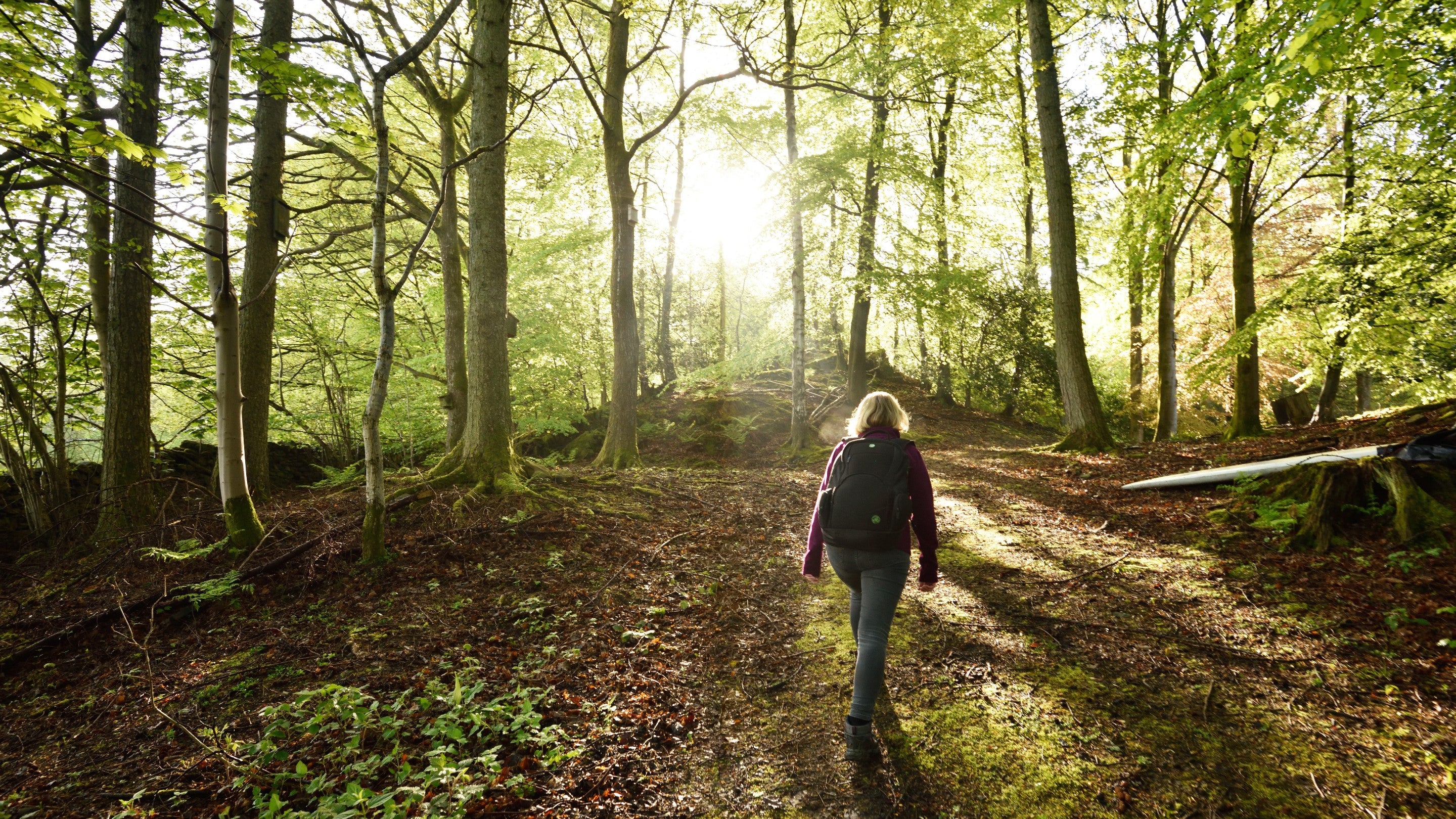 Walking in the Lake District | National Trust