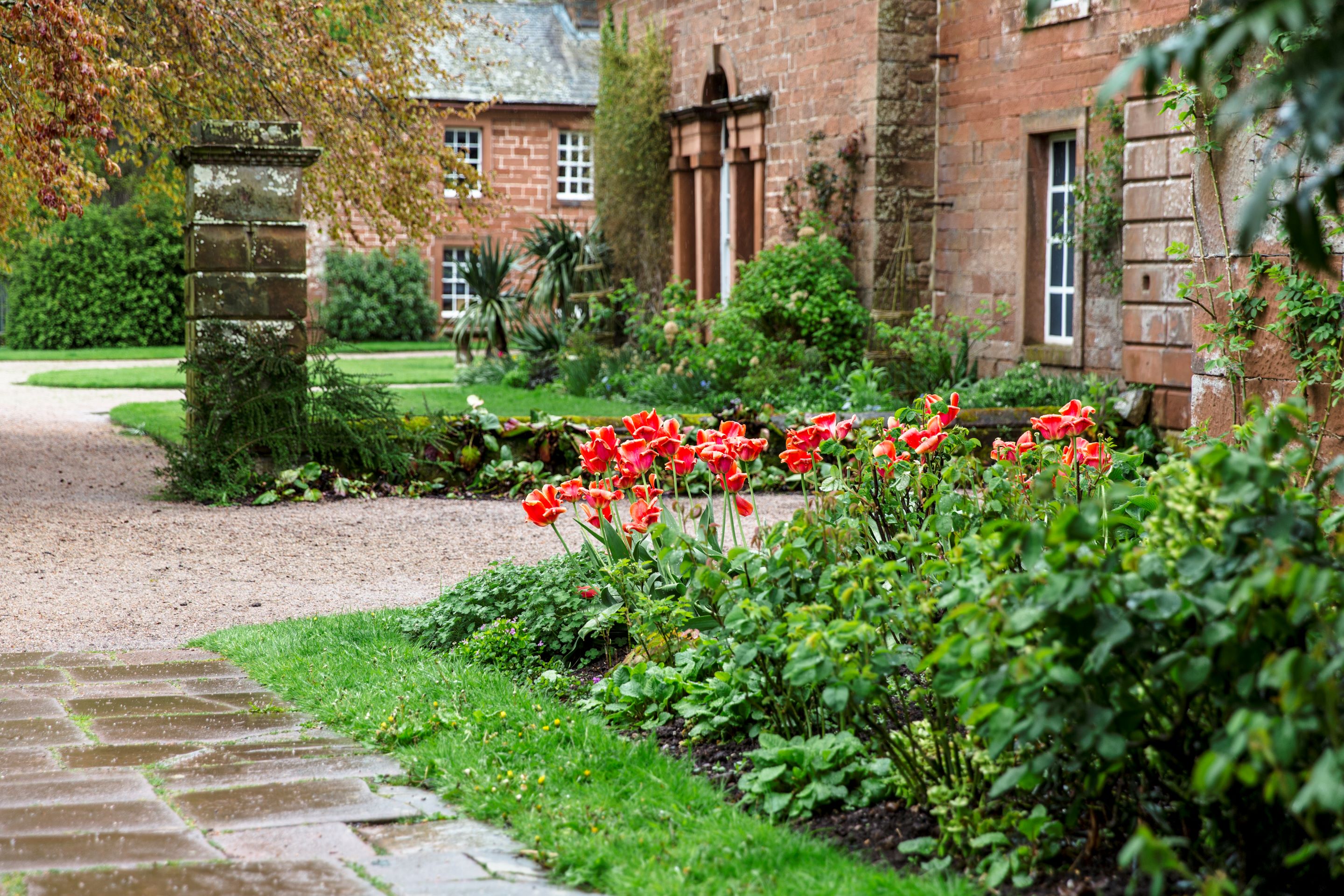 Visiting Acorn Bank's garden | Cumbria | National Trust