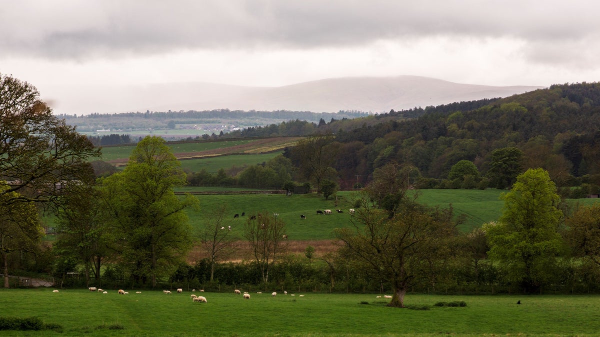 Acorn Bank to Temple Sowerby walk | Cumbria | National Trust