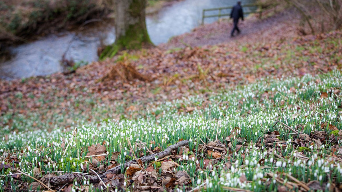 Visiting Acorn Bank's estate | Cumbria | National Trust