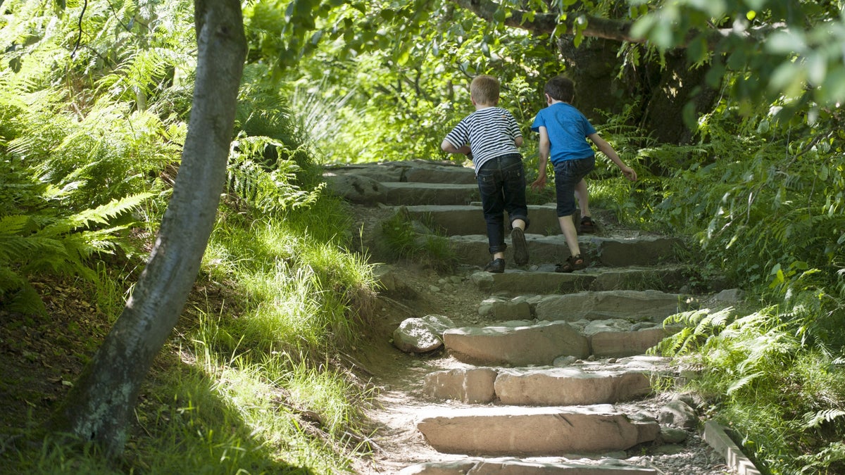 Visiting Aira Force and Ullswater | National Trust