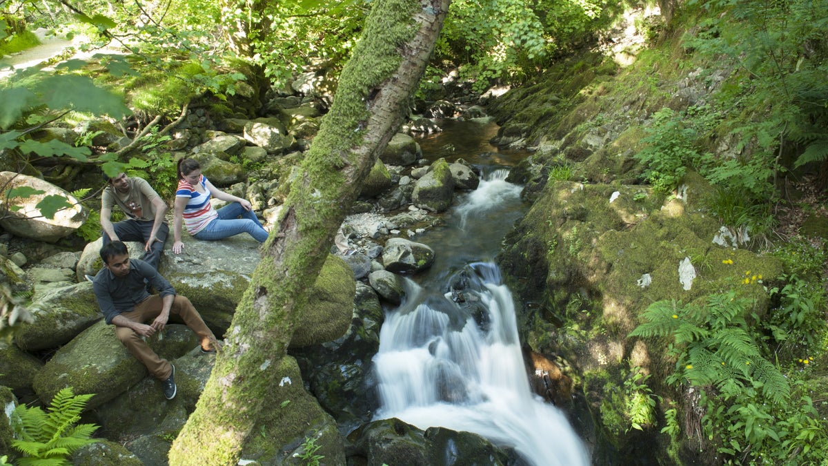 Visiting Aira Force and Ullswater | National Trust