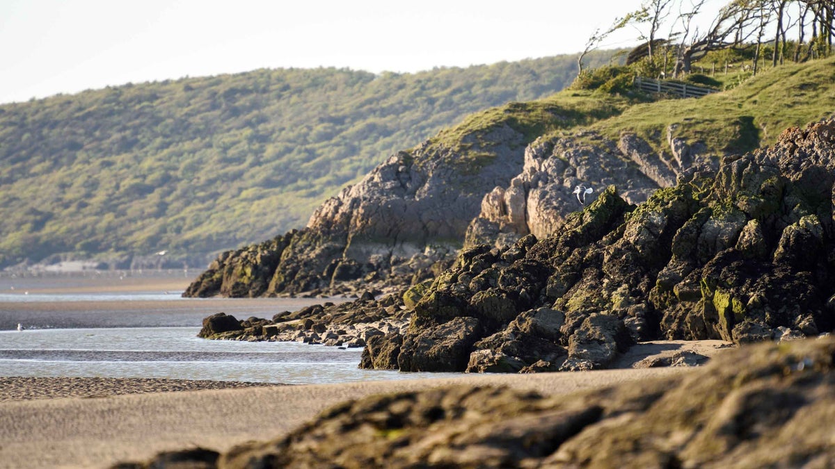 Visiting Jack Scout at Arnside & Silverdale | National Trust