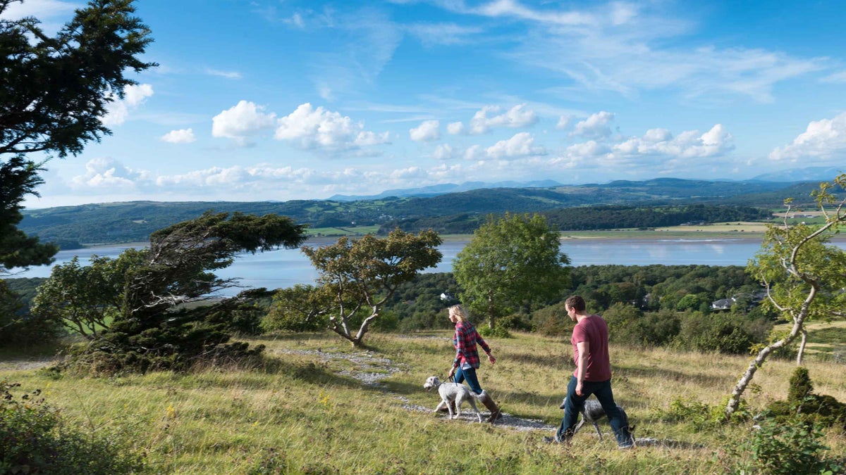 Visit Arnside Knott at Arnside & Silverdale | National Trust
