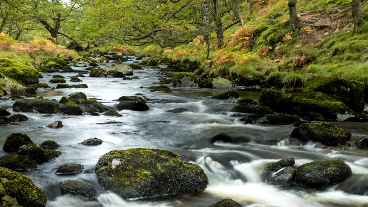 Freshwater Community Grant Fund UK | National Trust