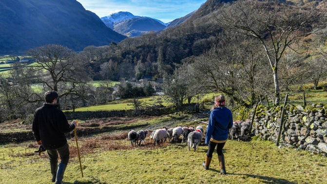 Exploring Borrowdale| Lake District | National Trust