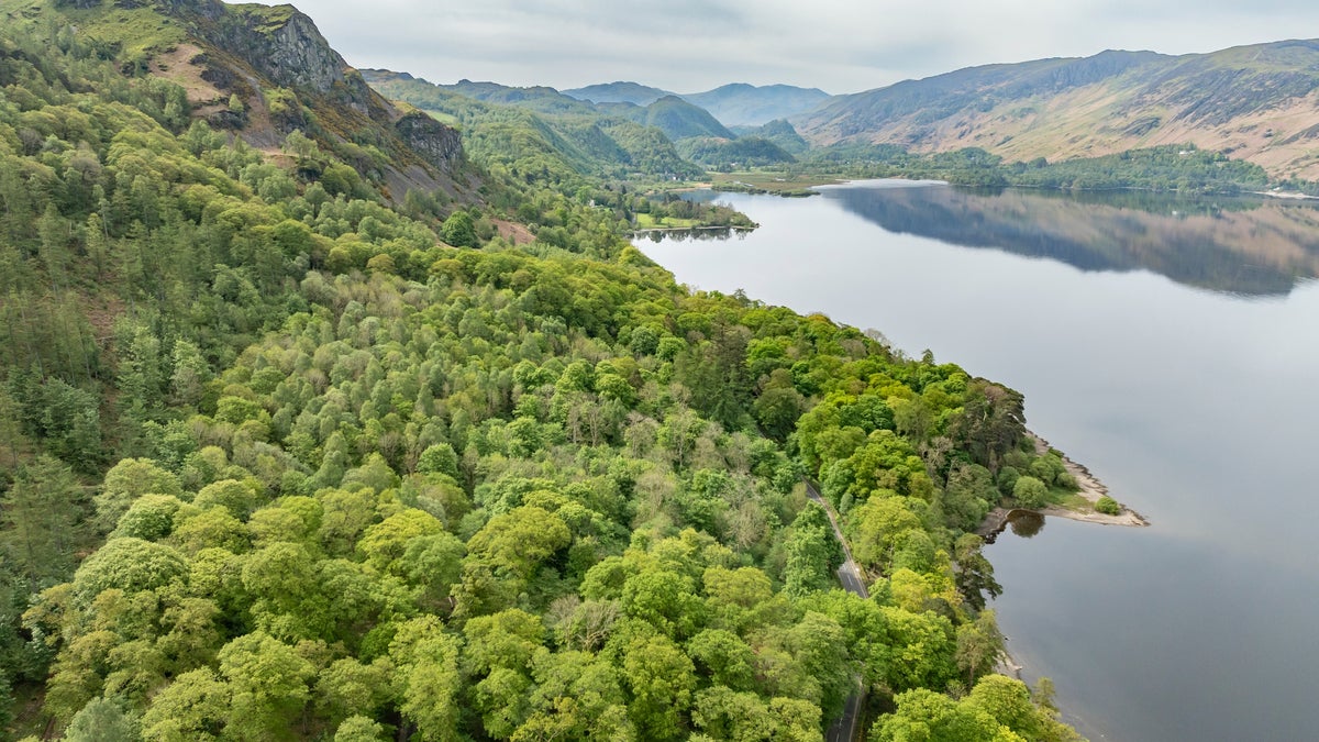 Borrowdale National Nature Reserve | National Trust