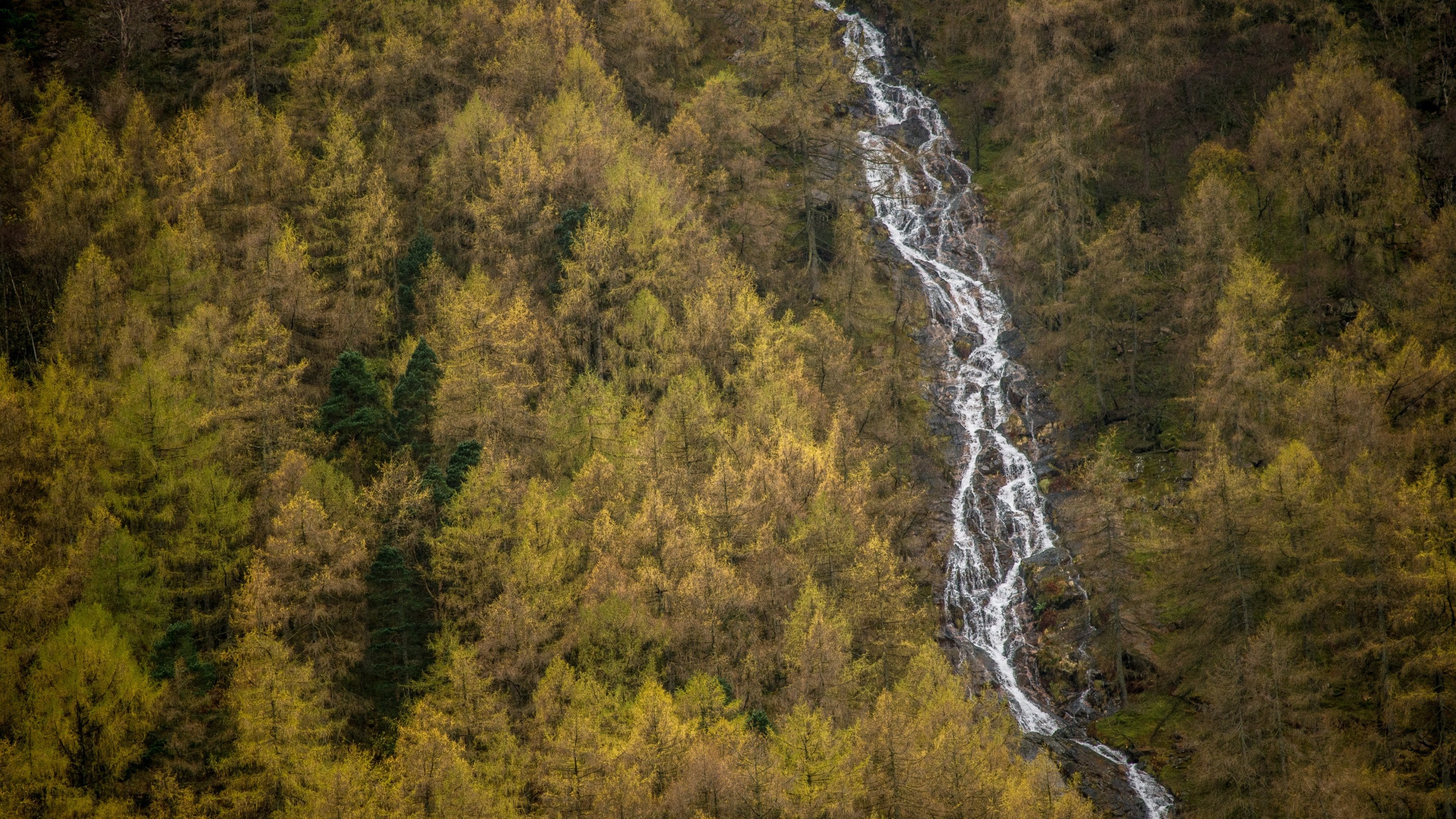Visiting Buttermere Valley | Lake District | National Trust