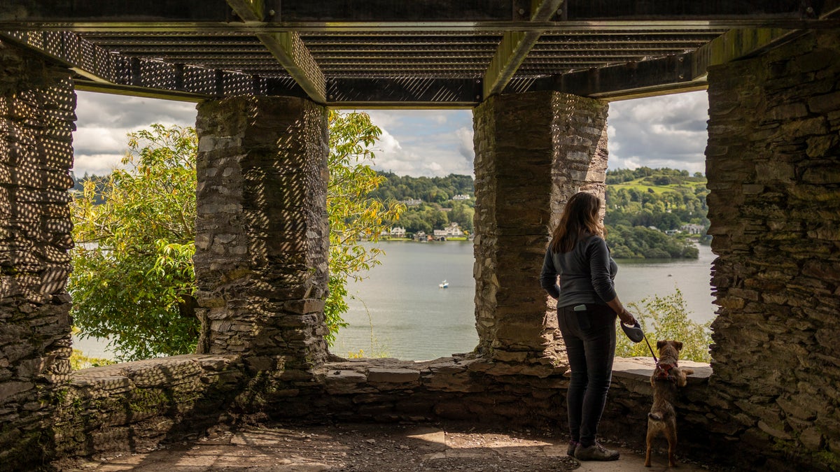 Dog walks, Windermere West Shore | Cumbria | National Trust