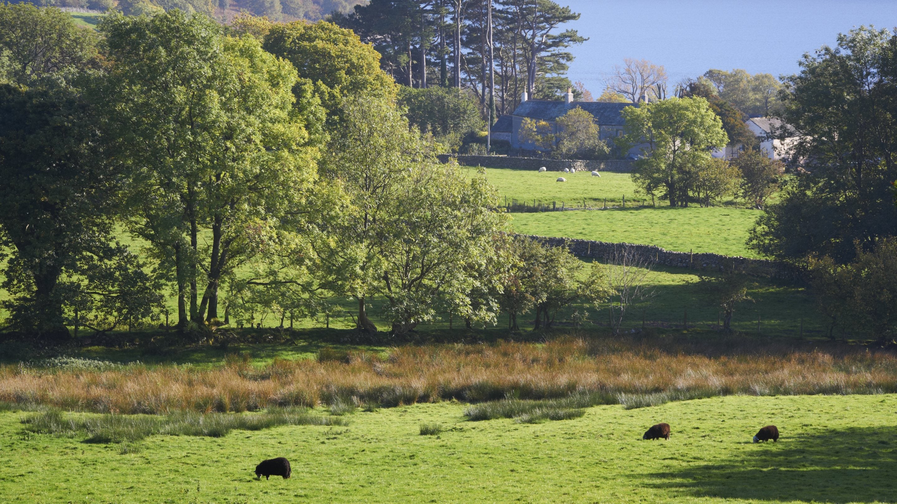 Ennerdale | Lake District | National Trust