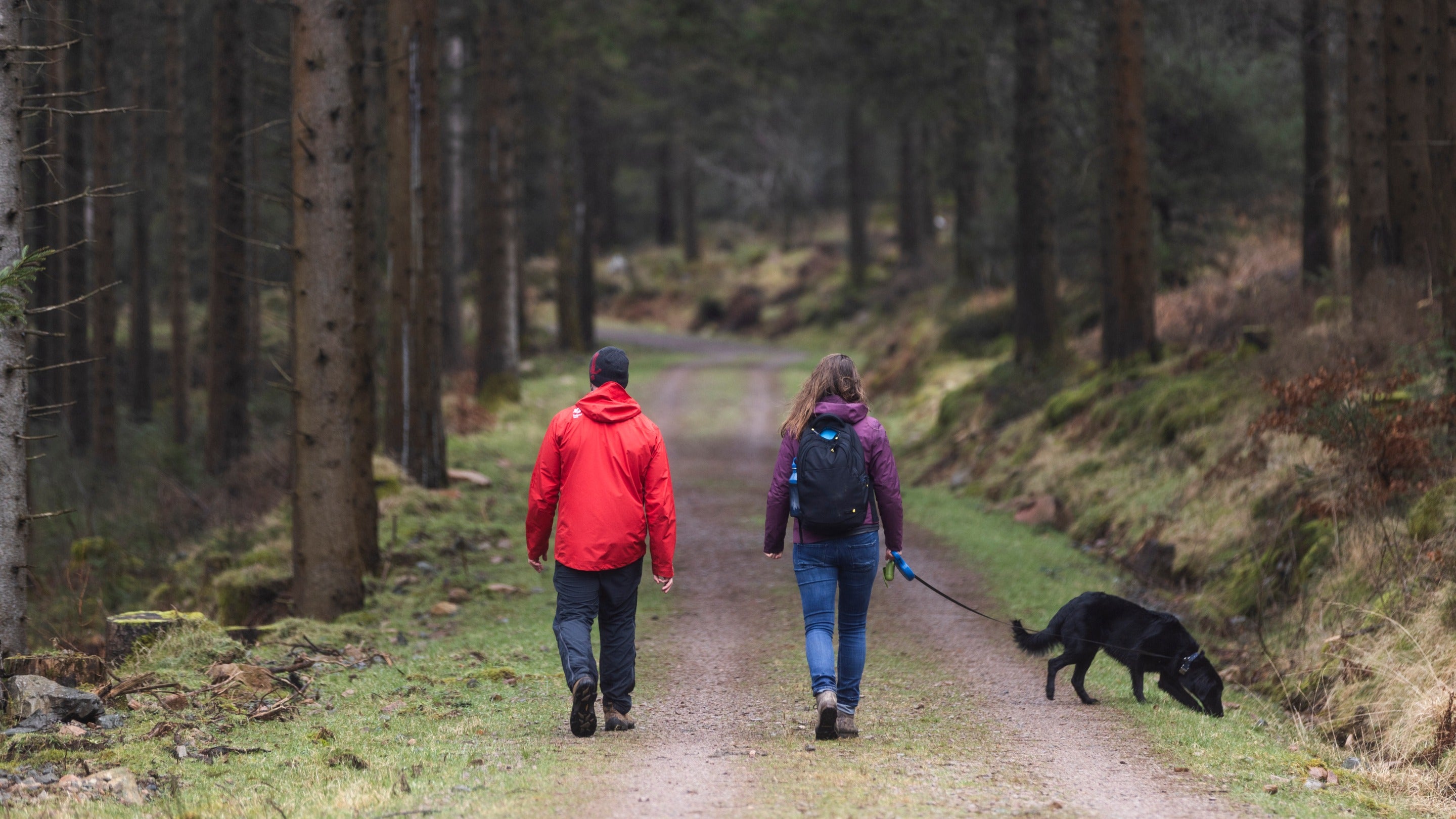 Ennerdale | Lake District | National Trust
