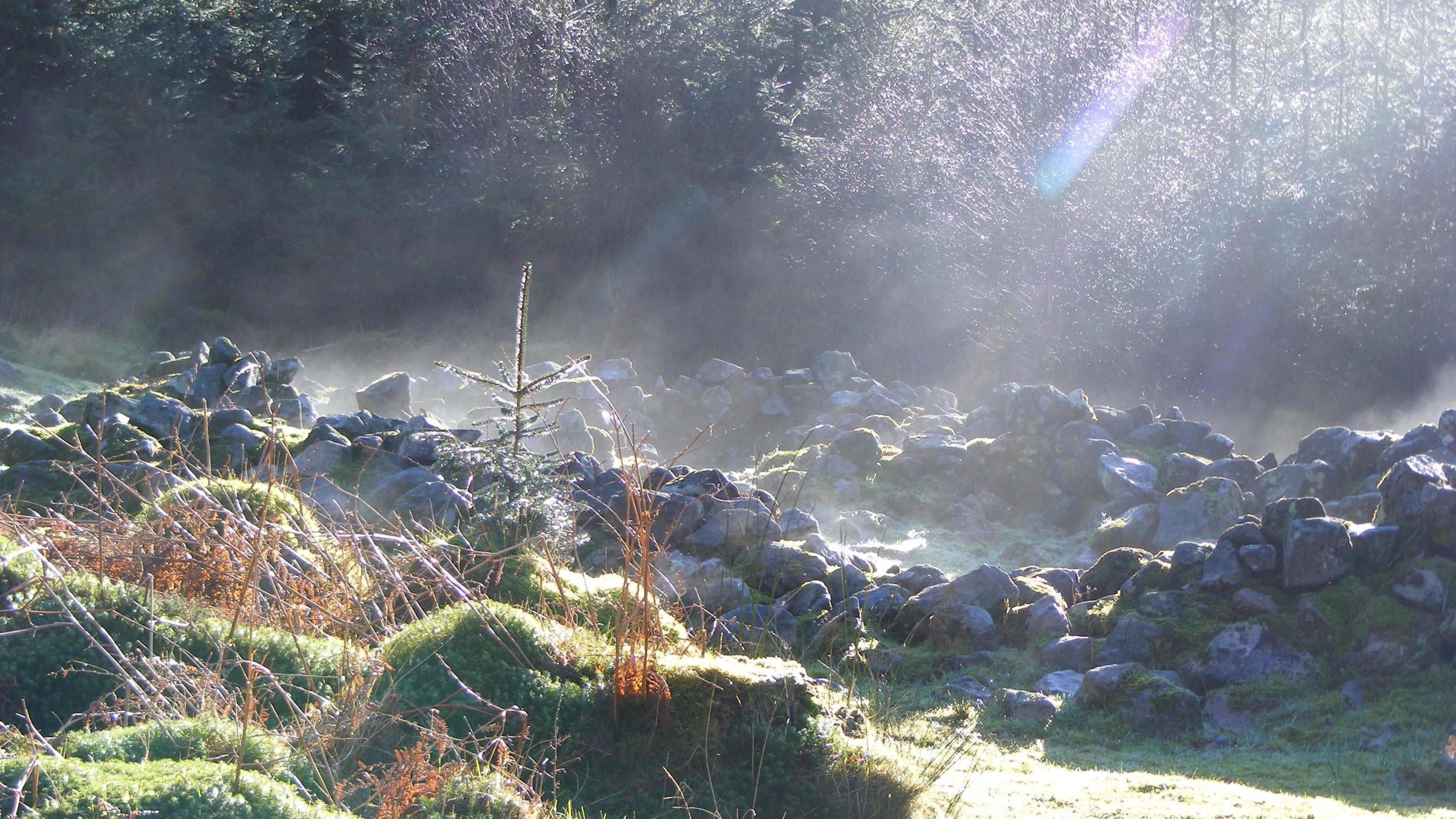 Exploring Ennerdale │ Lake District | National Trust
