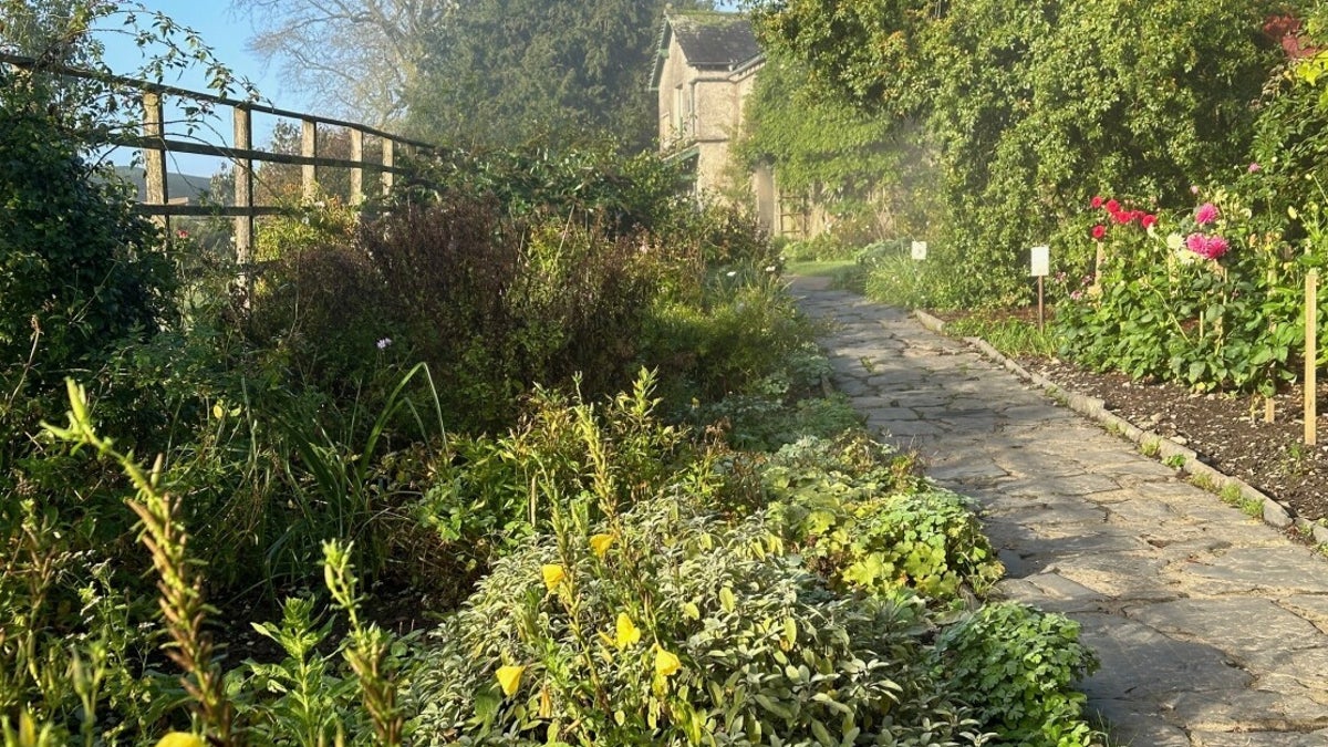 Visiting Hill Top's garden | Cumbria | National Trust
