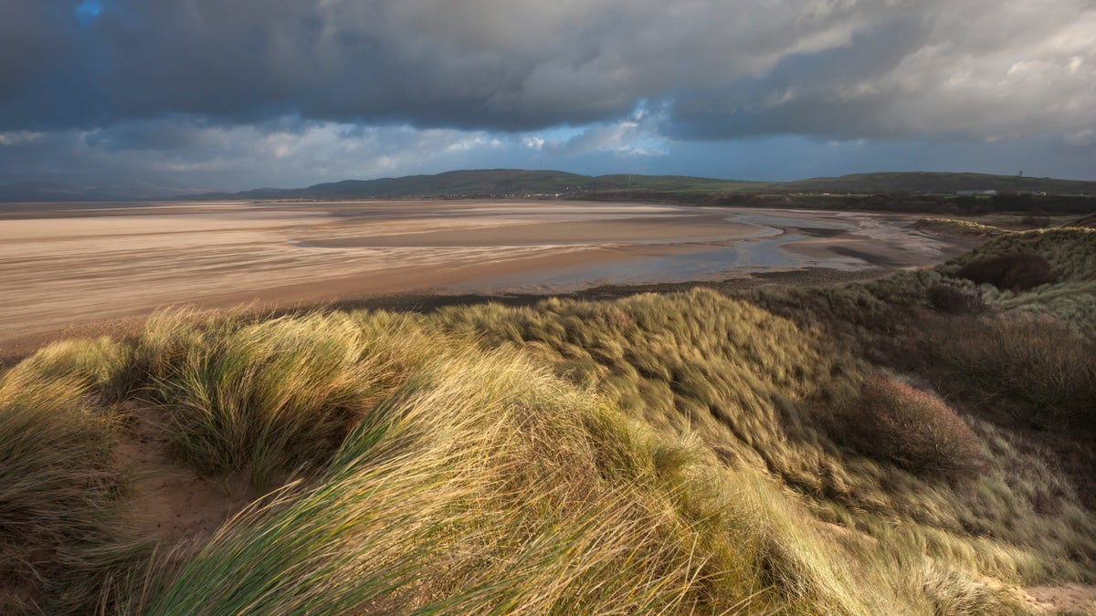 Sandscale Haws | Lake District | National Trust