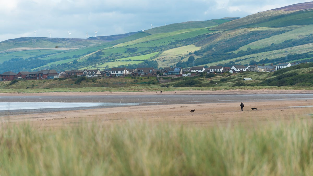 Dog walking, Sandscale Haws | Lake District | National Trust