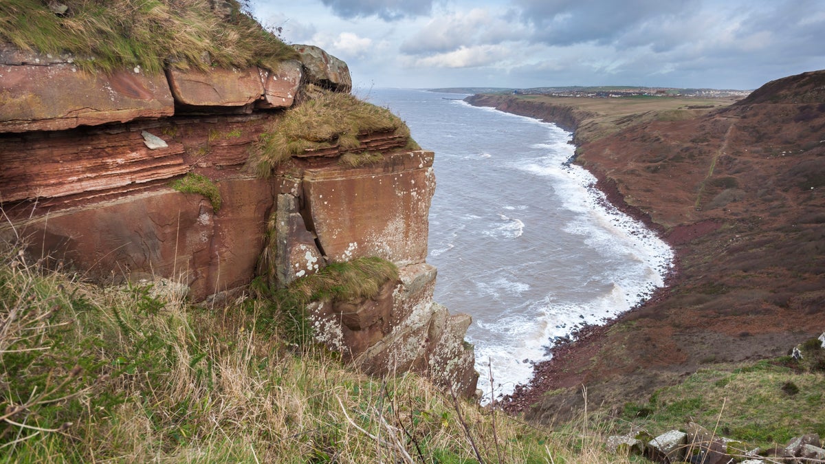 Looking after Sandscale Haws| Cumbria | National Trust