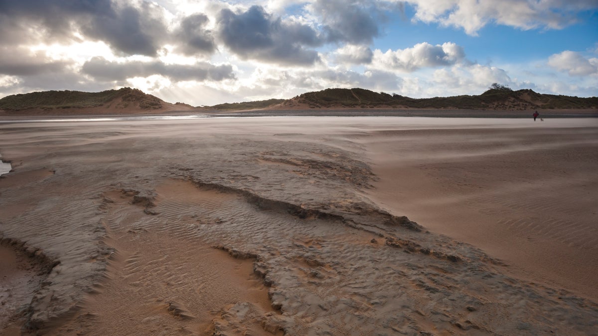 Looking after Sandscale Haws| Cumbria | National Trust