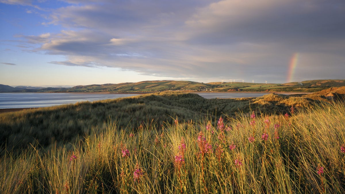 Looking after Sandscale Haws| Cumbria | National Trust