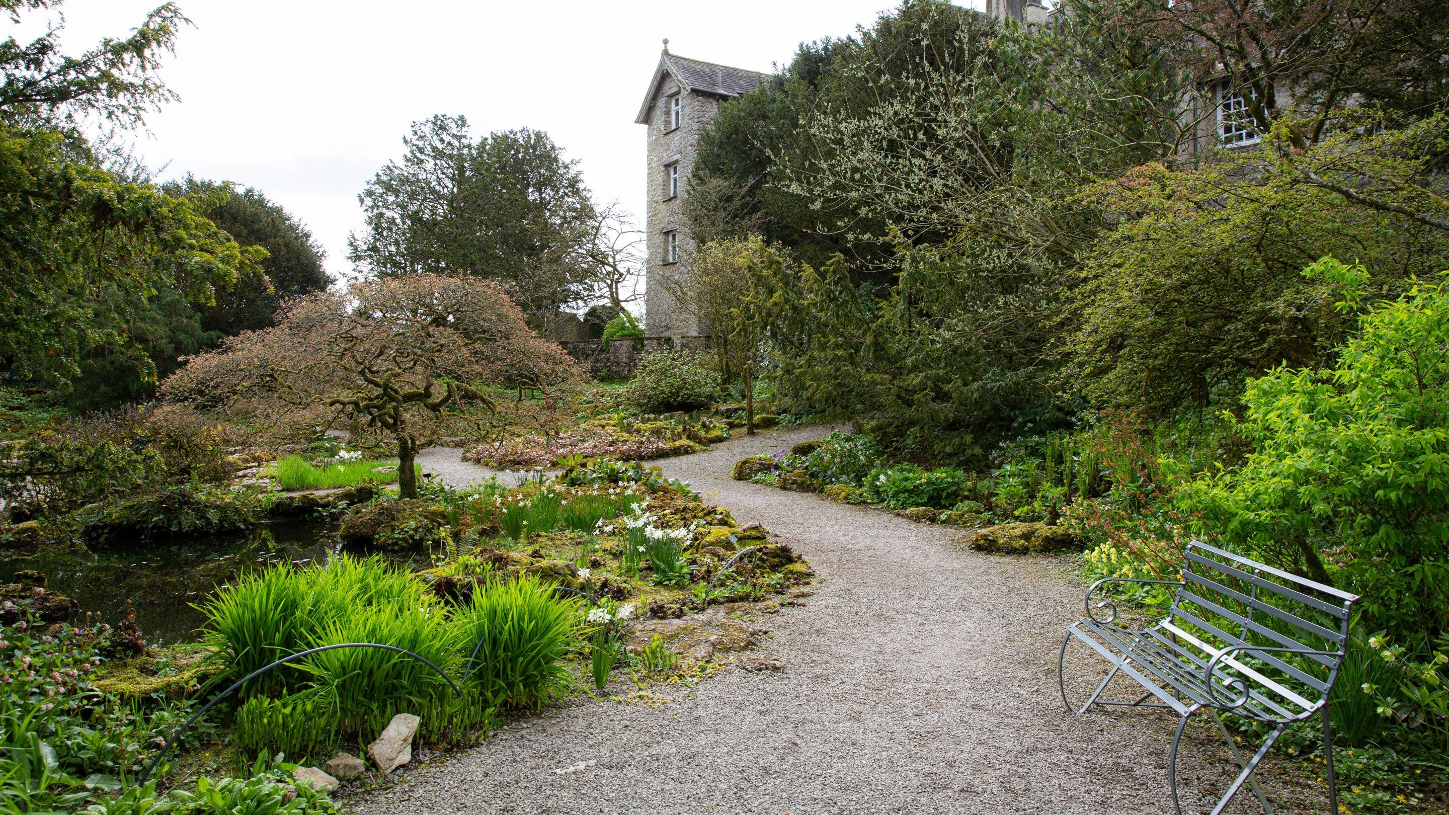 Visiting Sizergh's garden │ Cumbria | National Trust