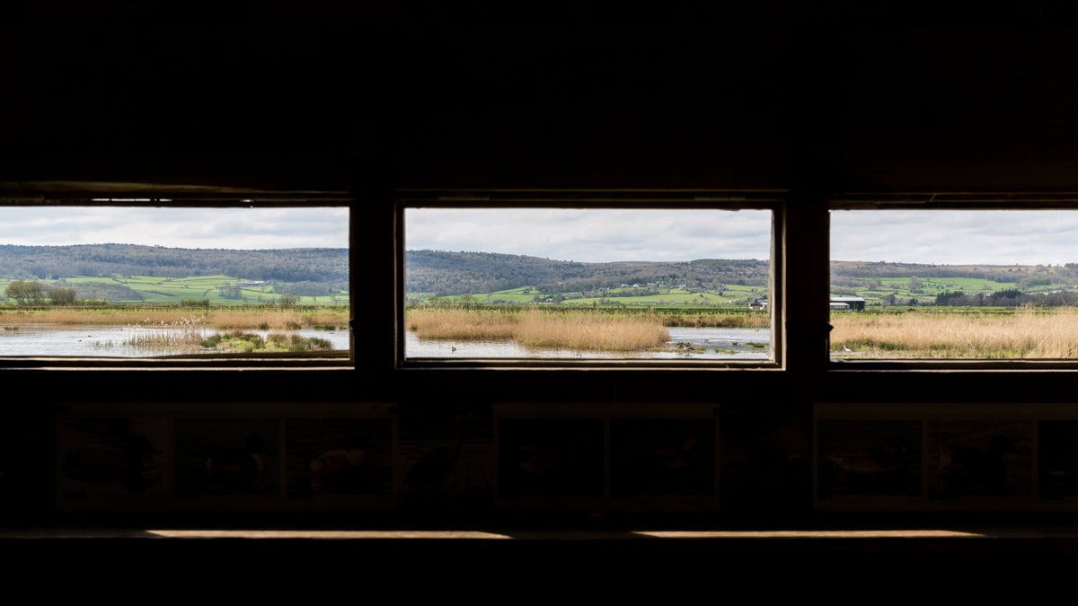 Visiting Sizergh's estate │ Cumbria | National Trust