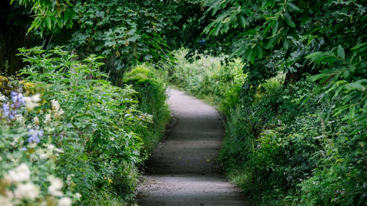Visiting Sizergh's estate │ Cumbria | National Trust