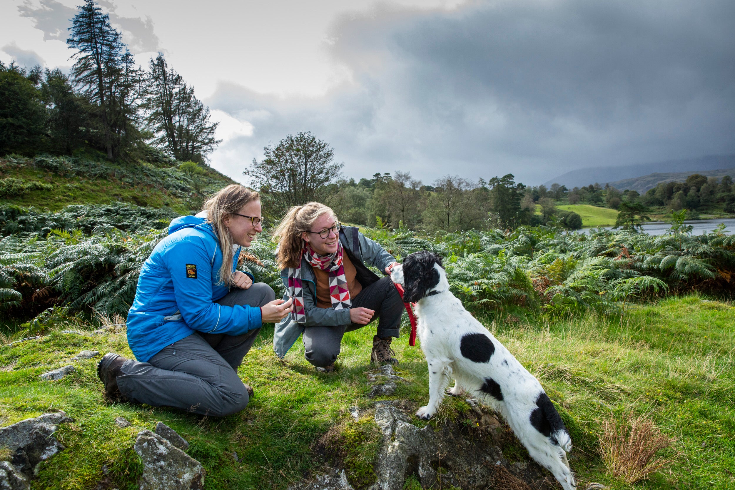 Tarn Hows and Coniston | Lake District | National Trust