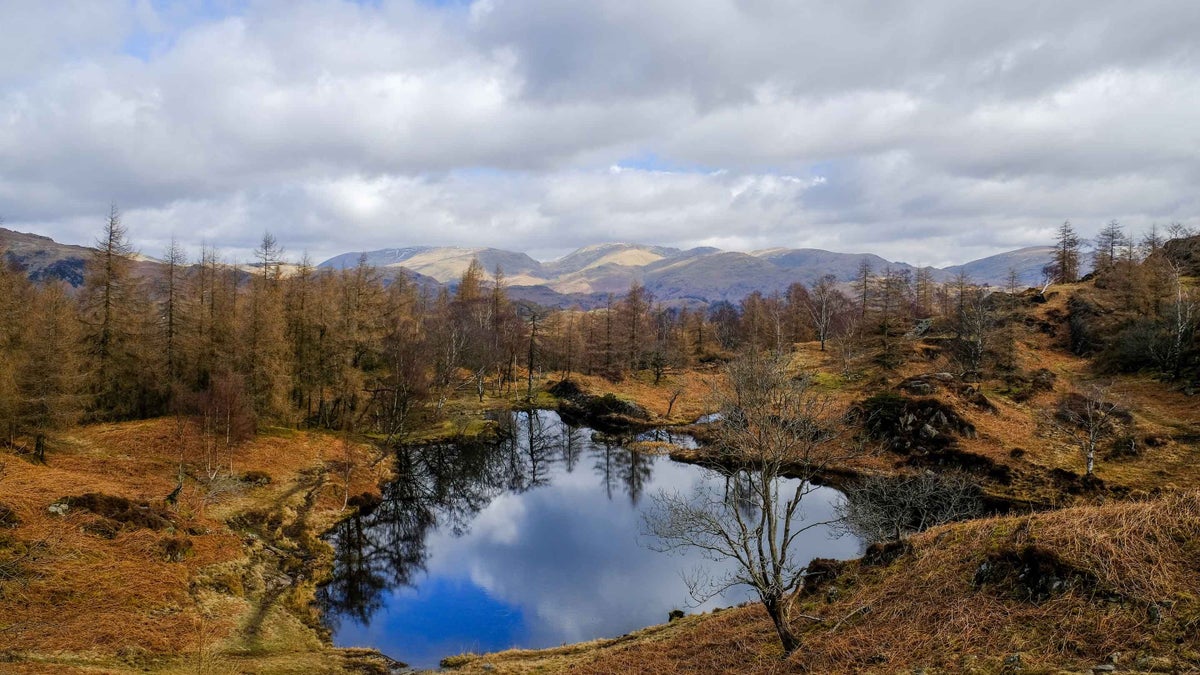 History of Tarn Hows │ Cumbria | National Trust